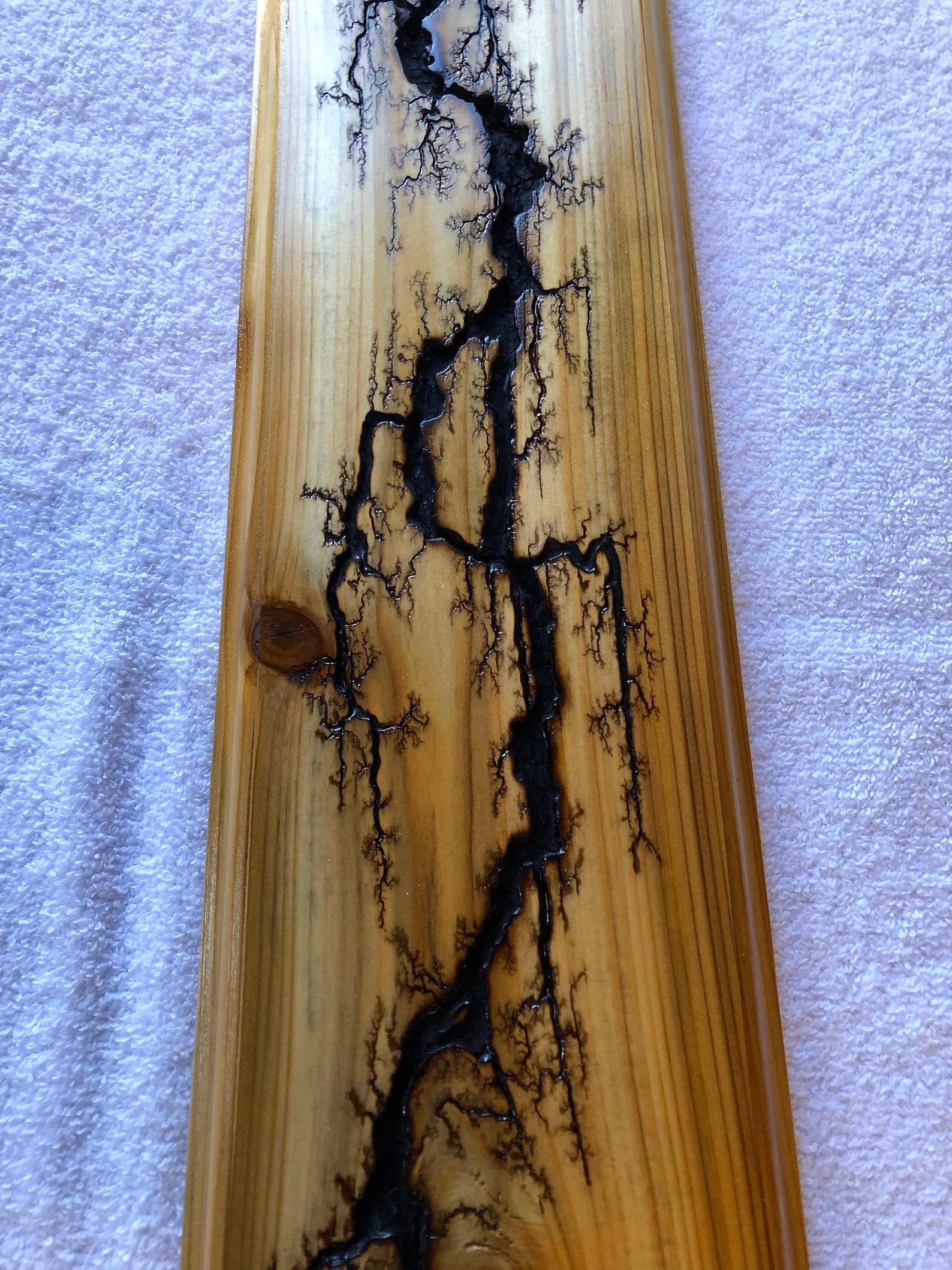 LONGSHOT Fractal burn fractal art high voltage wood burn | Etsy