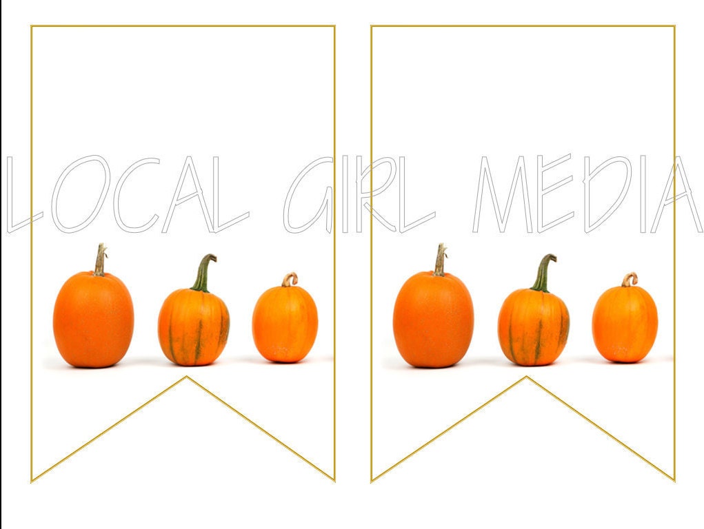 Pumpkin Spice, Banner, Fall Banner, Fall, Birthday Banner, Bunting ...