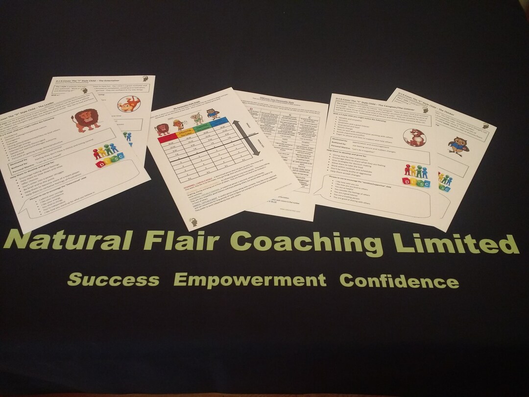 DISC Personality Profile Set for Children or Teens please Specify - Etsy