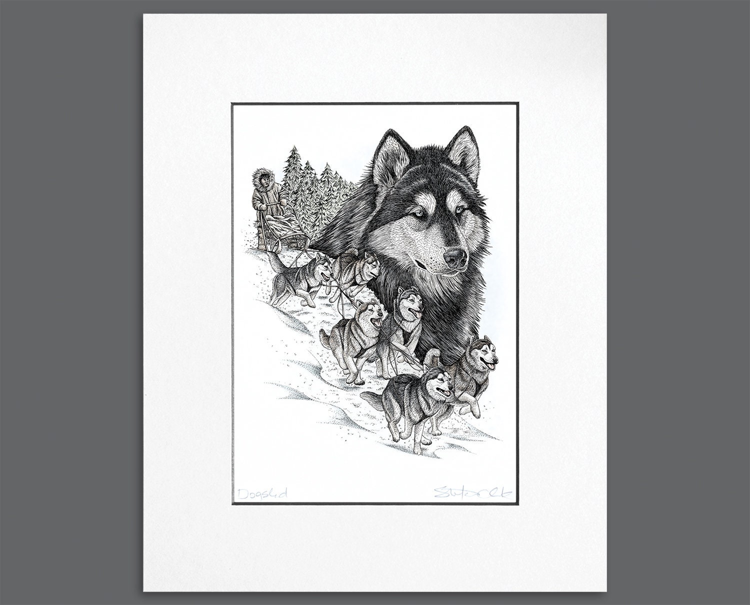 Dogsled Art Print, Pen Ink Drawing, Sled Dog Team, Arctic Dog Sled ...