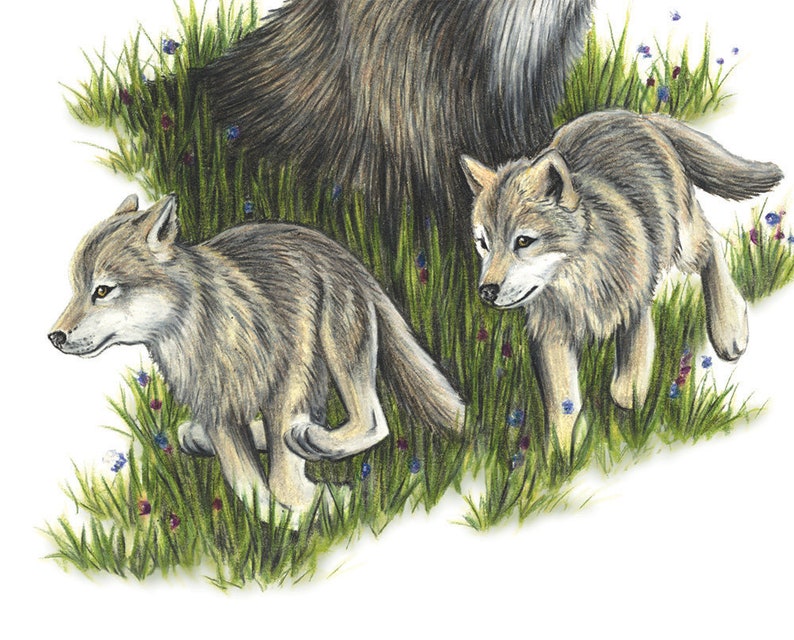 Small Wolf Pups Collage, Animal Art Print, Drawing Unframed - Etsy
