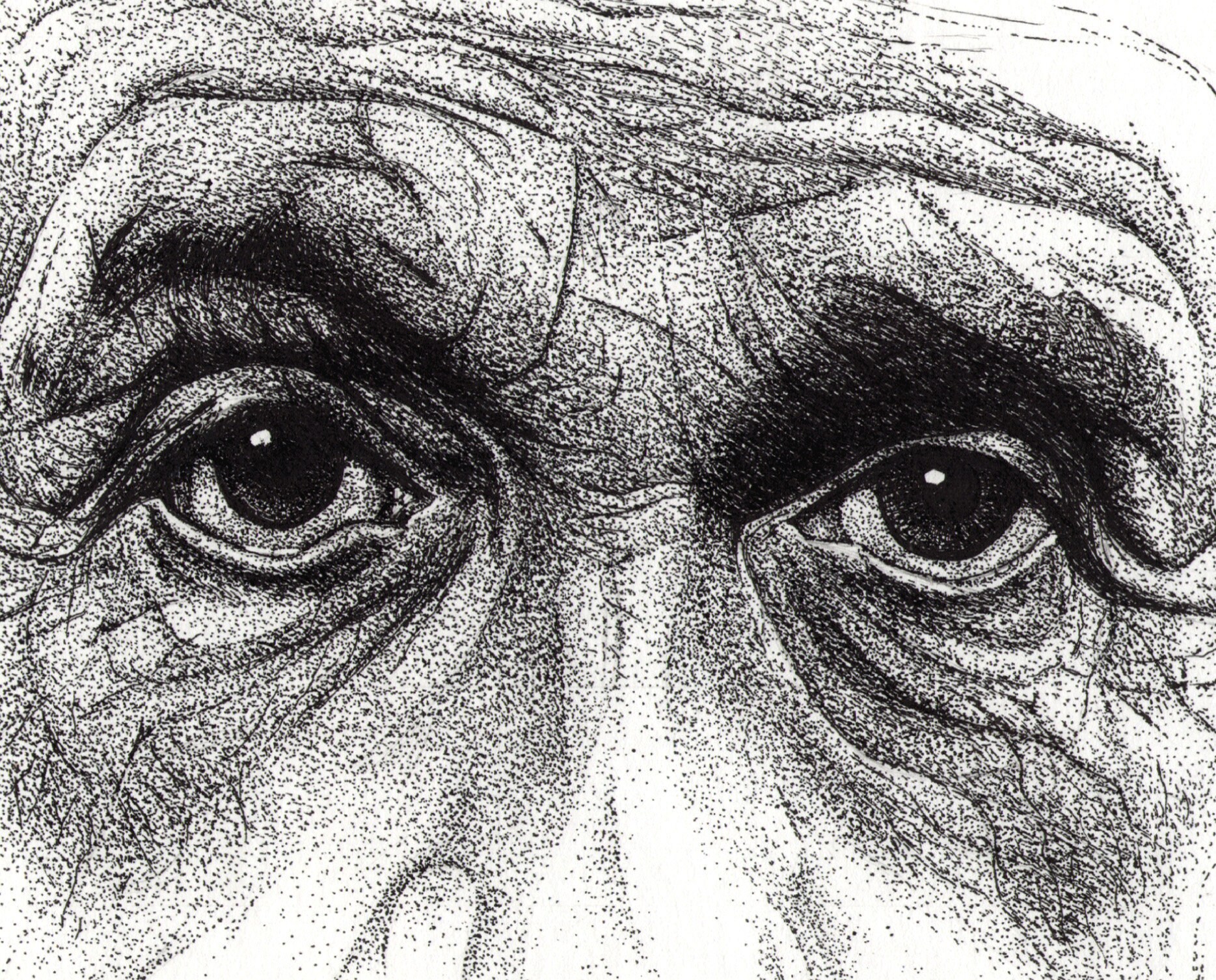 Small Einstein Eyes Art Print, Pen Ink Drawing Portrait Unframed - Etsy