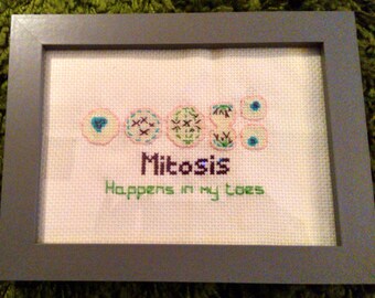 Early Prophase 1 Mitosis Cell Cycle Silver Keychain/Pendant