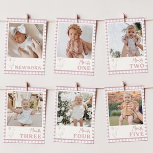 One Silly Goose Photo Banner Template | Editable Girl Goose 1st ...