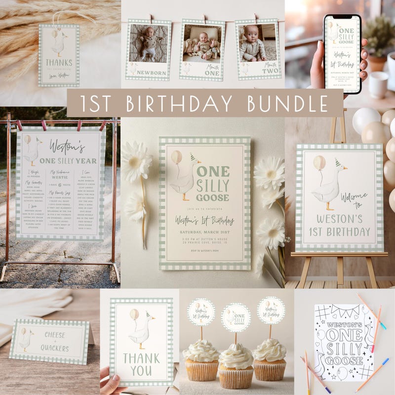 Silly Goose Birthday Party - Etsy
