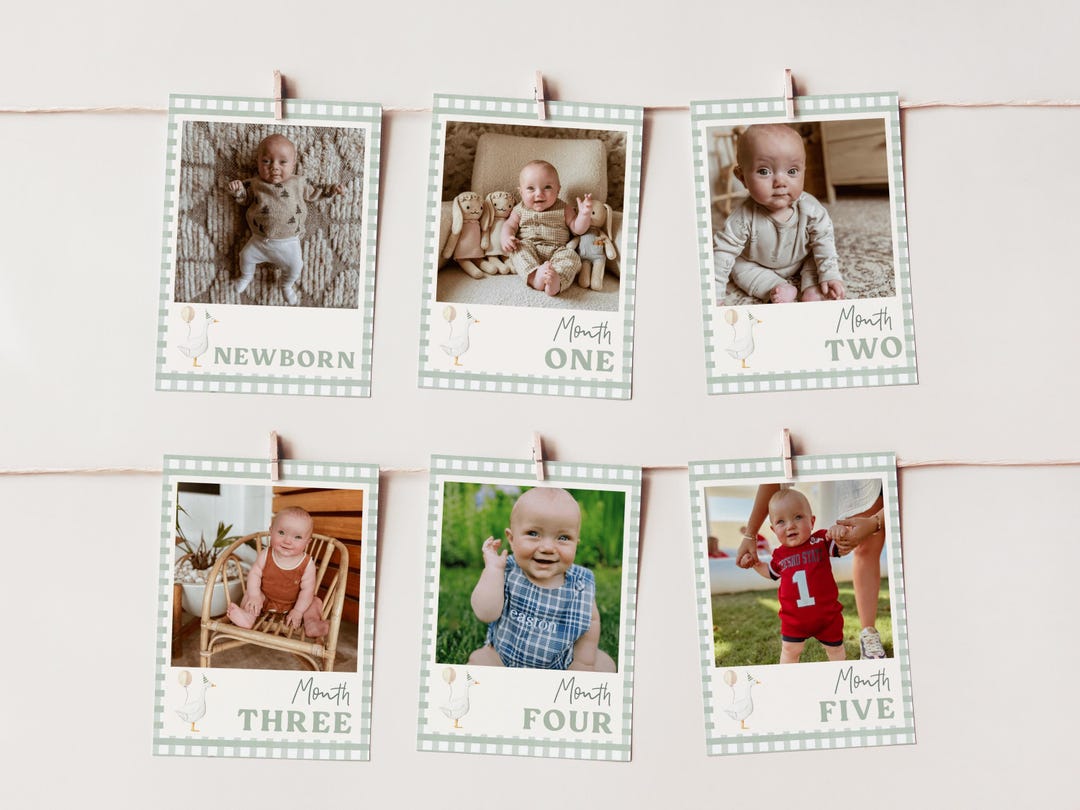 One Silly Goose Photo Banner Template | Editable Green Goose 1st ...