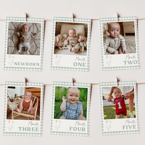 One Silly Goose Photo Banner Template | Editable Green Goose 1st ...