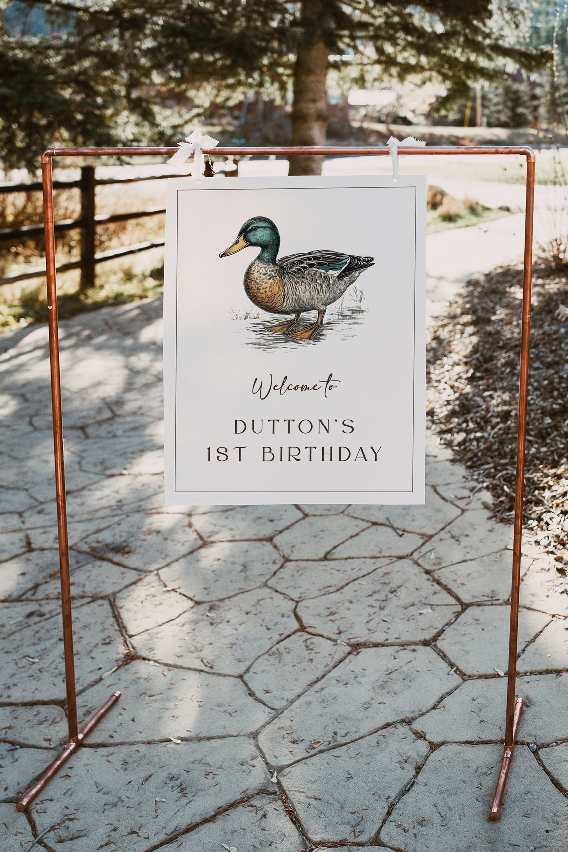 One Lucky Duck Birthday Welcome Sign Template | Editable Duck First ...