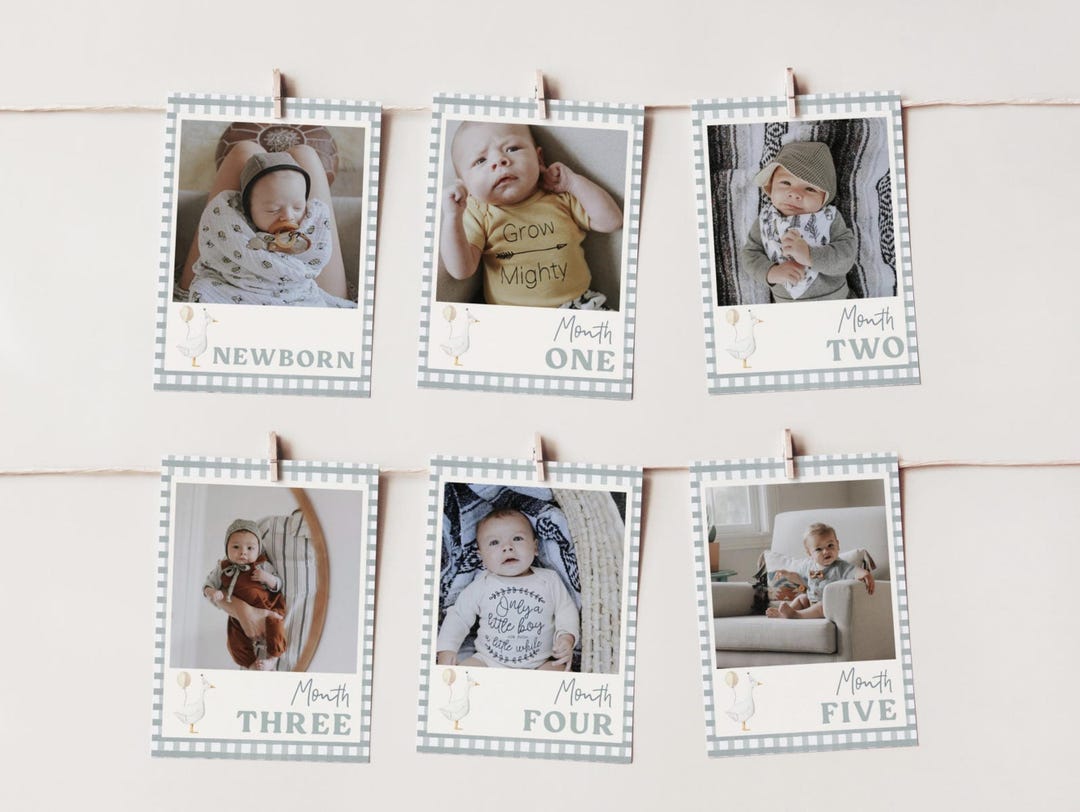 One Silly Goose Photo Banner Template | Editable Boy Goose 1st Birthday ...