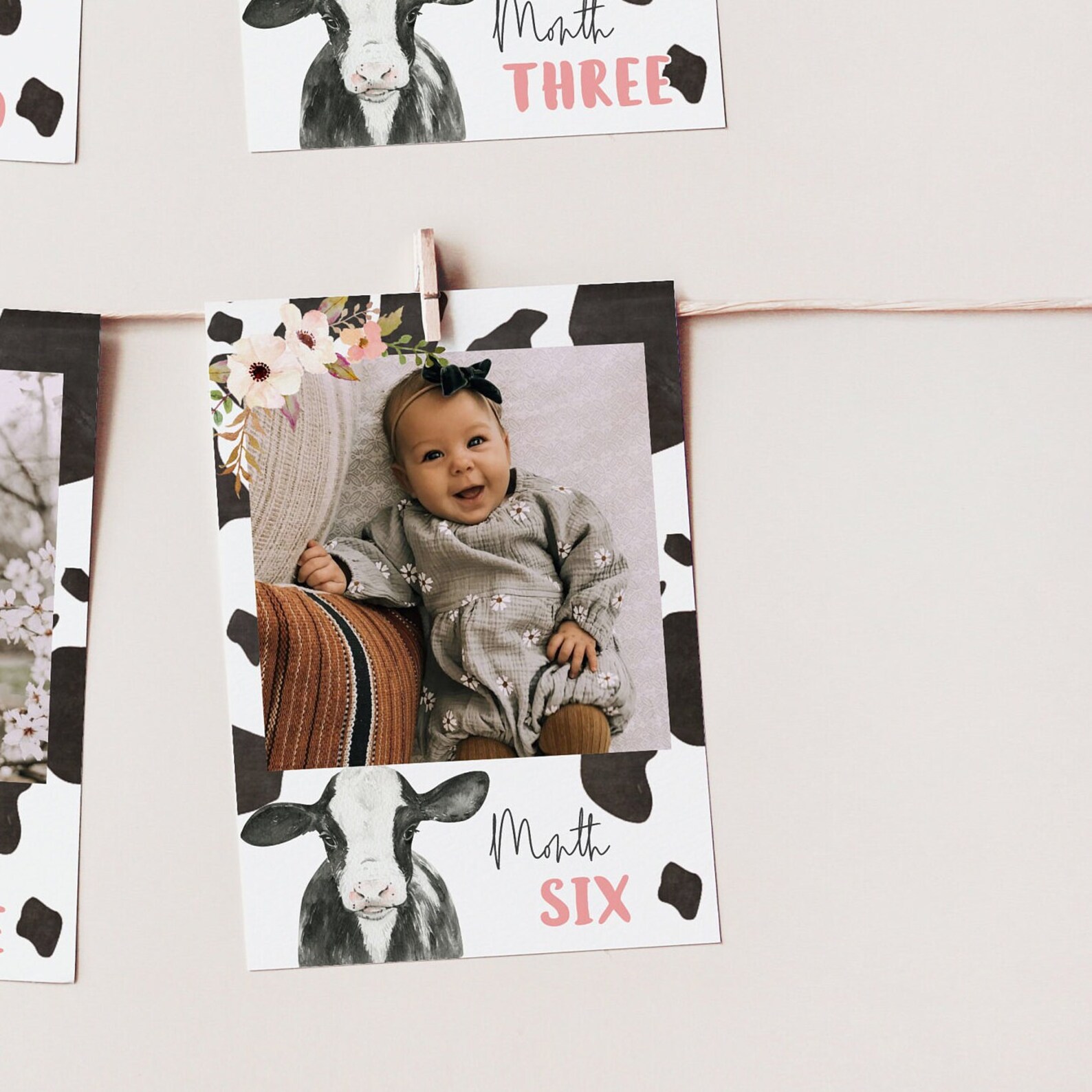 Cow 1st Birthday Photo Banner Template Editable Holy Cow - Etsy