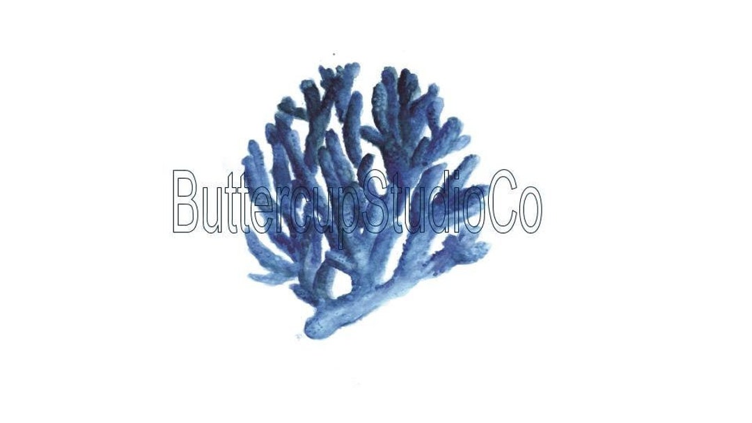 Blue Coral 4 - Etsy
