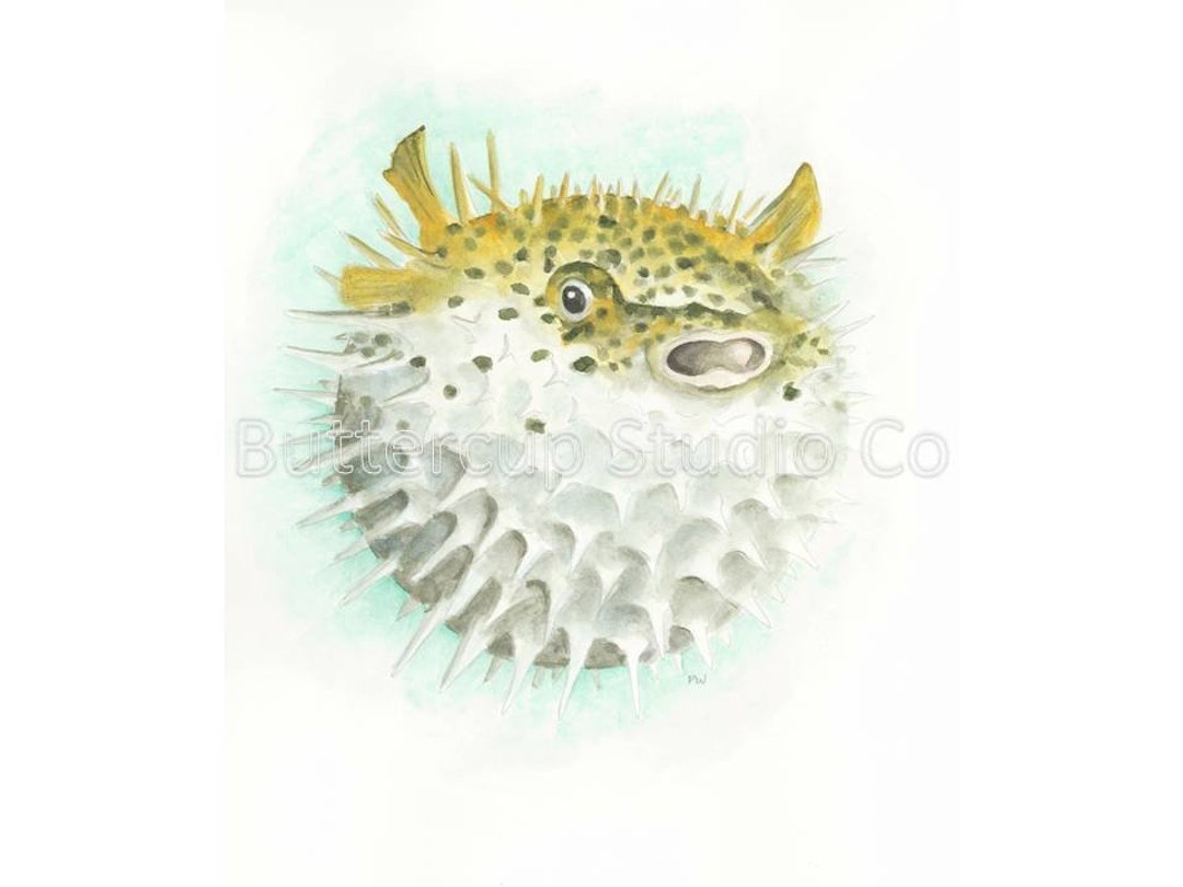 Puffer Fish - Etsy
