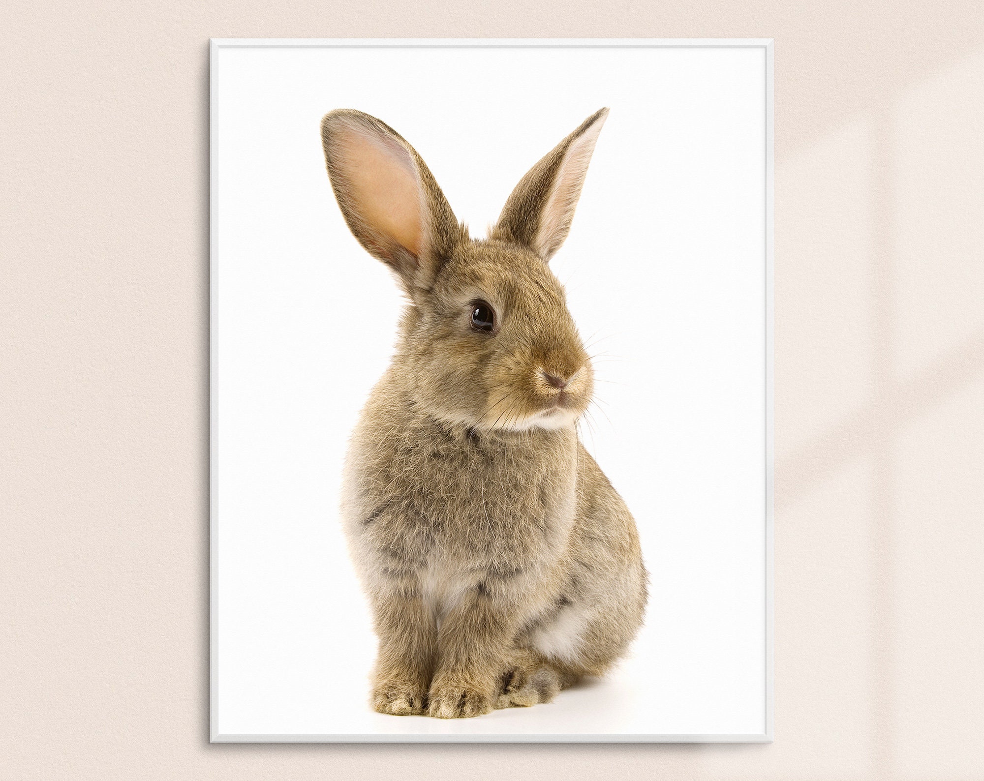 Bunny Rabbit Print, Nursery Wall Art, Kids Decor, Baby Animal Prints ...