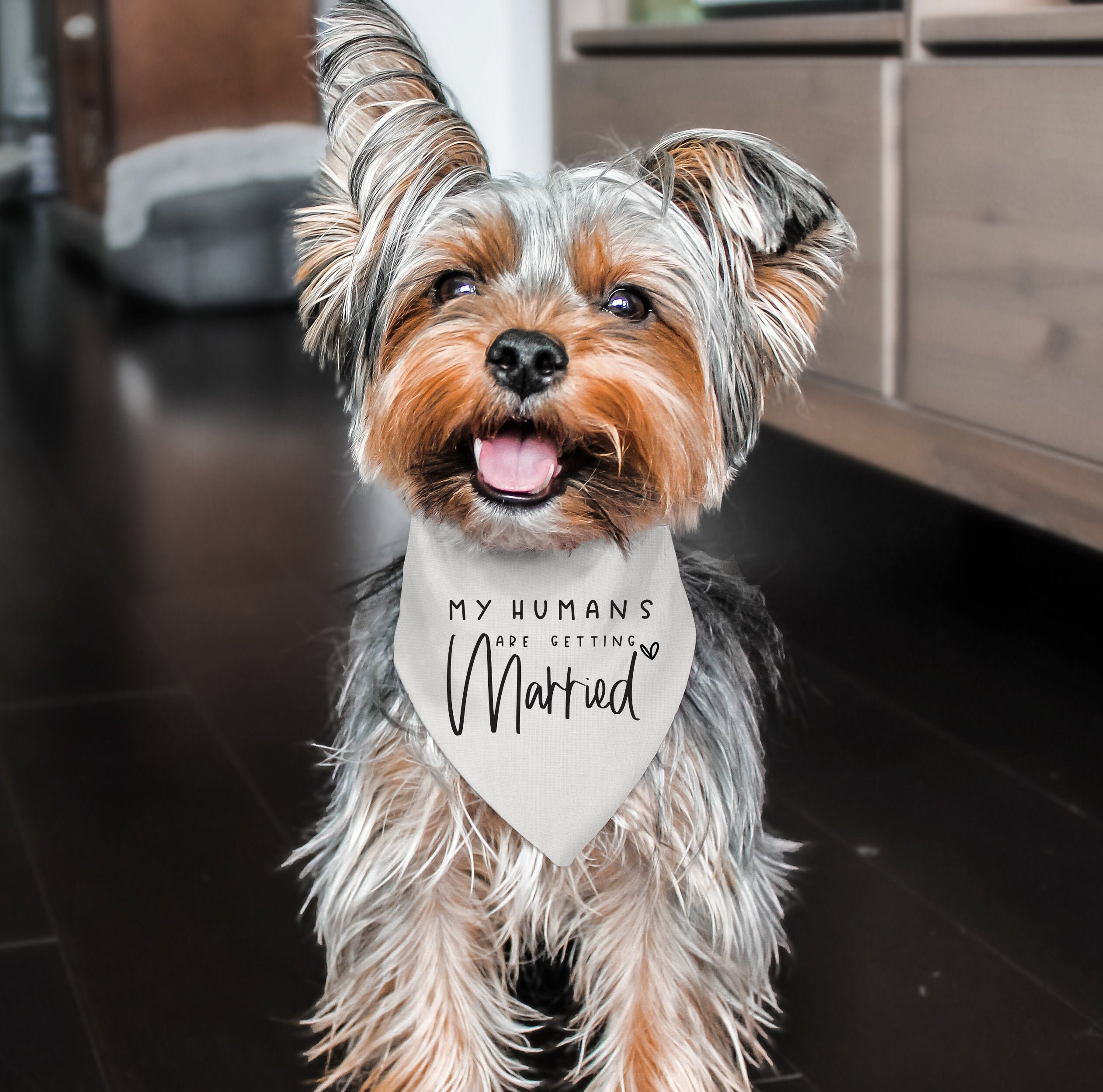 Pet Wedding My Humans Are Getting Married Pet Parents Dog - Etsy
