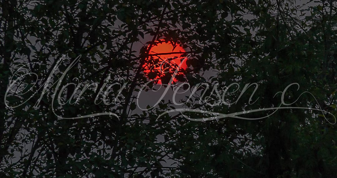 Fire Red Sun - Etsy