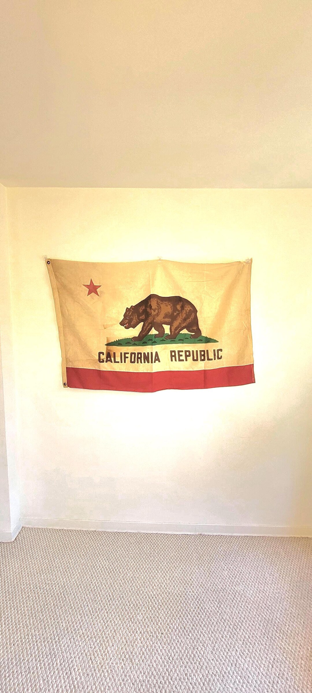 Vintage California Flag by Pioneer Flag Co. 3' X 4.5' 1950's Era - Etsy