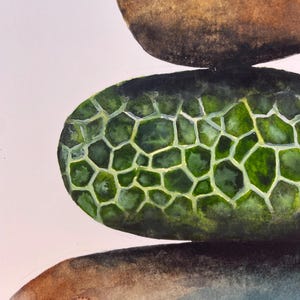 Great Lakes 4 - Watercolor on Paper: Cairn With Petoskey and Greenstone ...