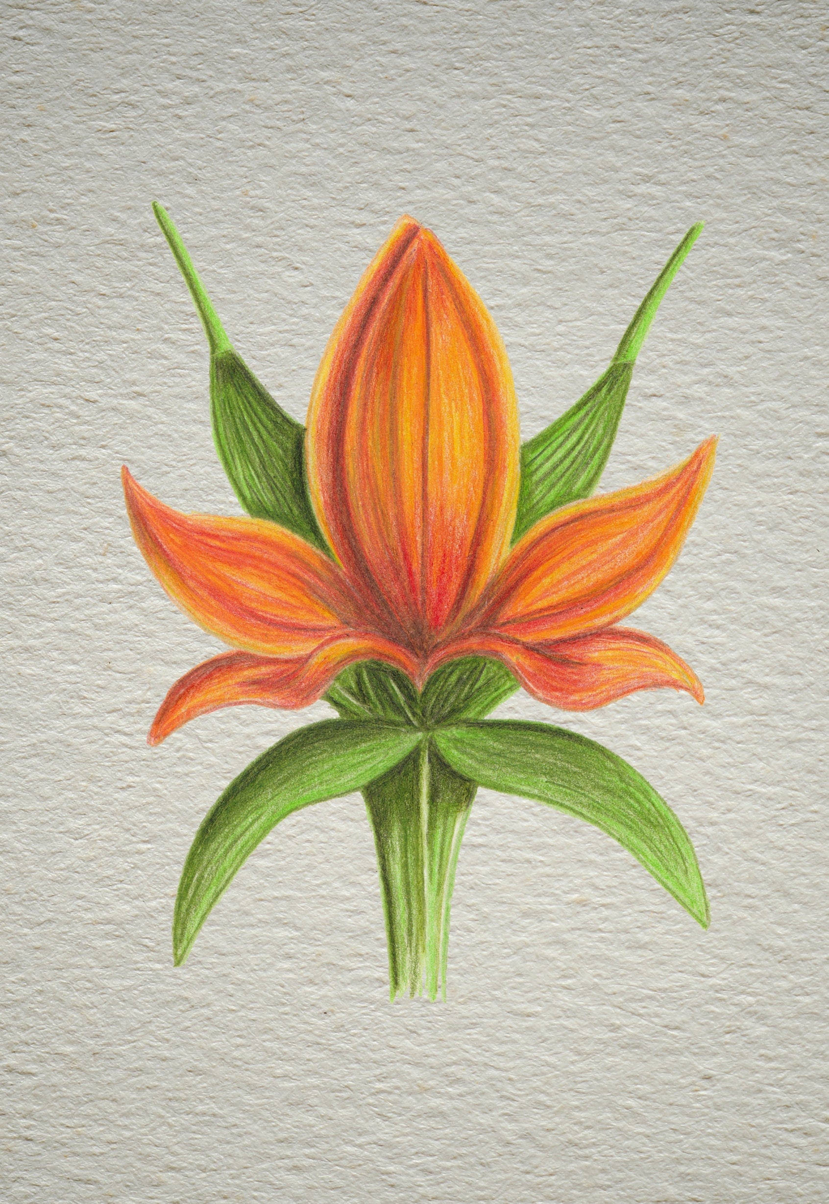 Print Of AI Inspired Lily, Coloured Pencil Drawing (A6, A5), 53% OFF Print Of AI Inspired Lily, Coloured Pencil Drawing (A6, A5), 53% OFF