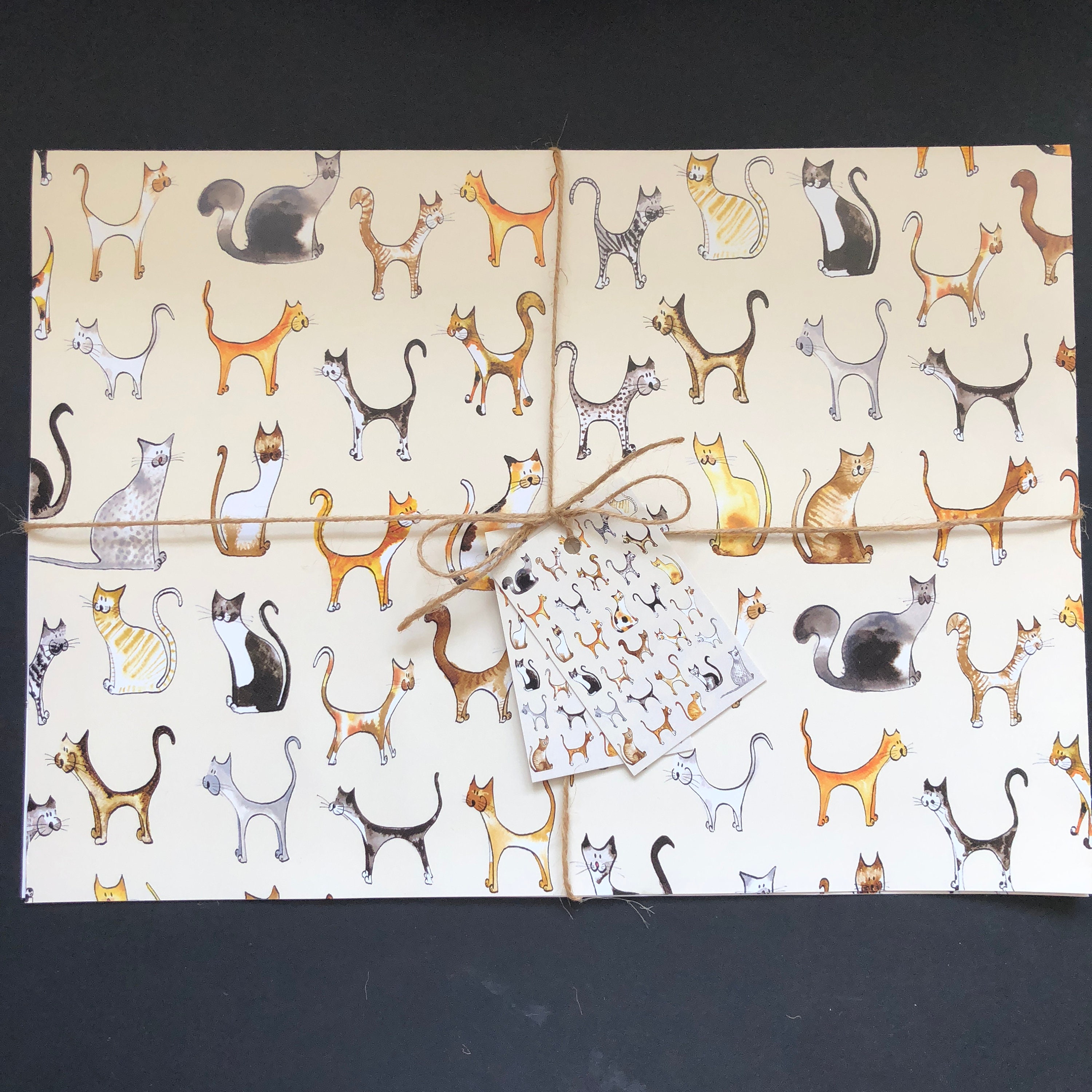 Cat Wrapping Paper Cat Gift Wrap Gift for Cat Lover Cat - Etsy
