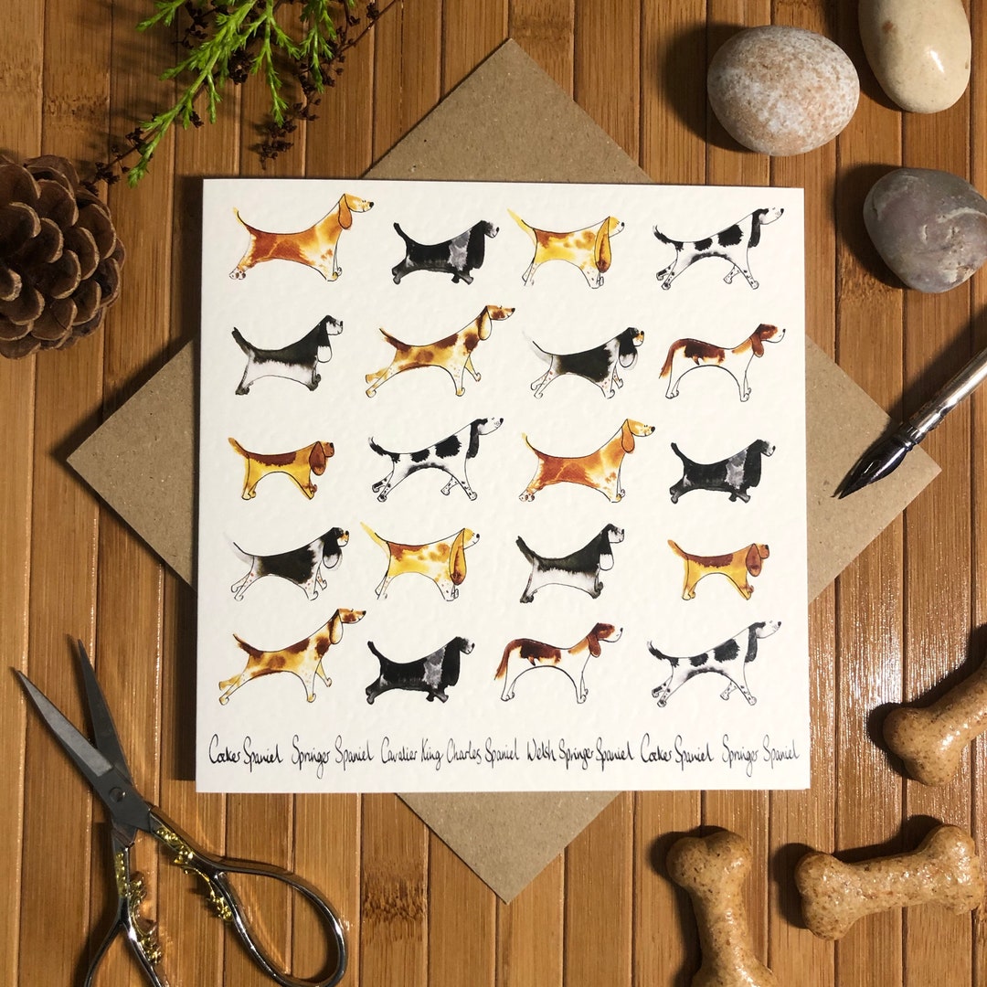 Spaniel Dog Greeting Card, Spaniel Card, Dog Illustration, Hand Drawn ...