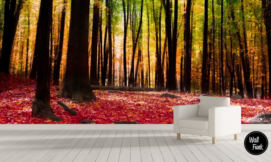 Forest Nature Mural, Removable Landscape Nature Wallpaper Mural, Nature ...