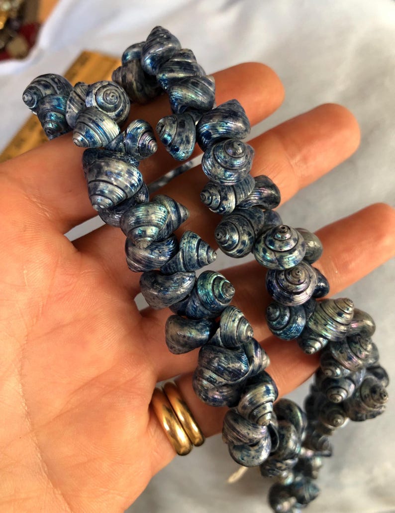 Tasmanian Mariner Blue Iridescent Trochus Shell Necklace Tiny Sea Snail ...