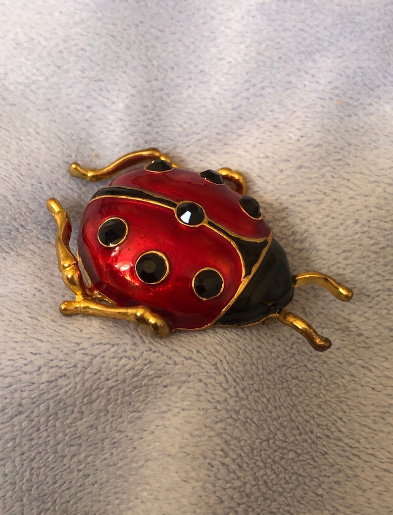 Vintage RMN Signed Ladybug Brooch, Red Enamel With Faceted Black Glass ...
