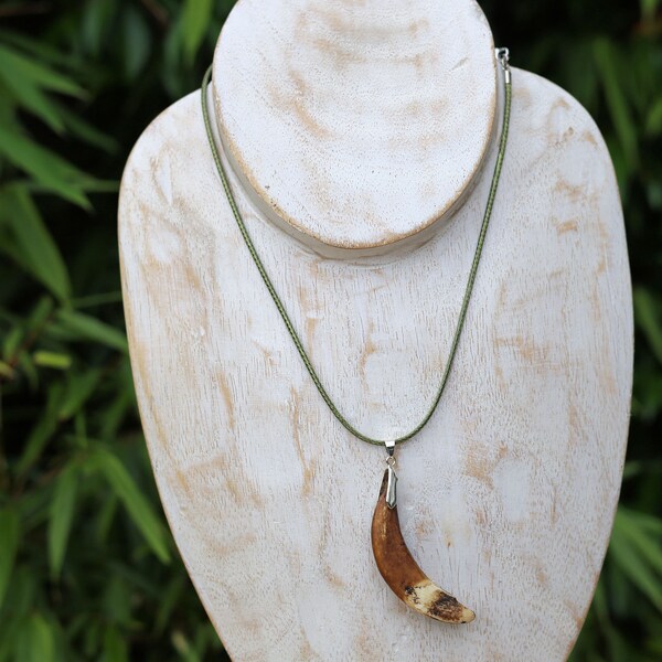 Wild Boar Teeth - Etsy