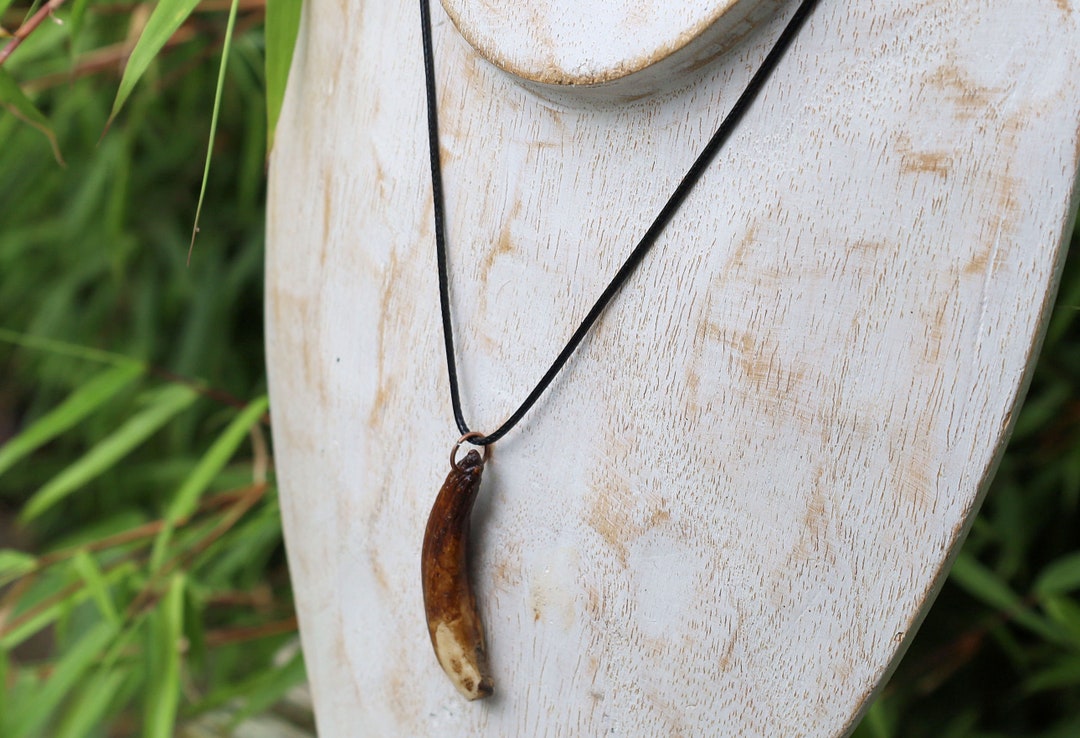 Tooth Pendant Necklace. Boar's, a Unique and Captivating Feature That ...