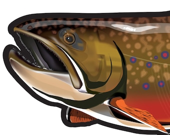 Native Trout Sticker - Etsy