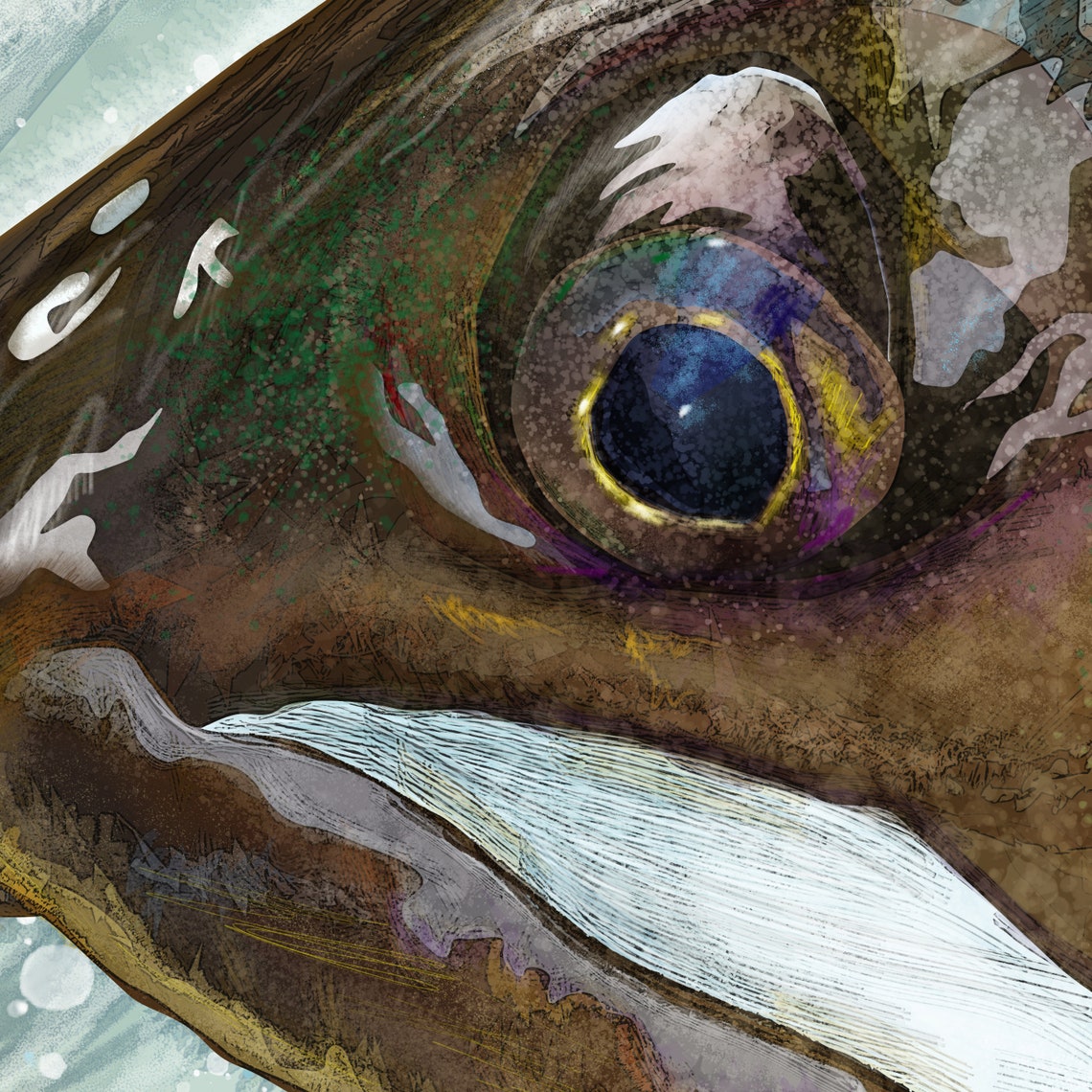 Bull Trout Head Painting Giclee Prints - Etsy