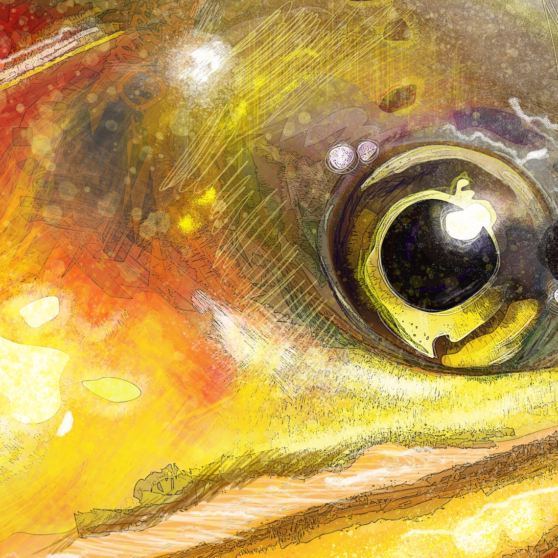 Golden Trout Head Painting Giclee Prints - Etsy