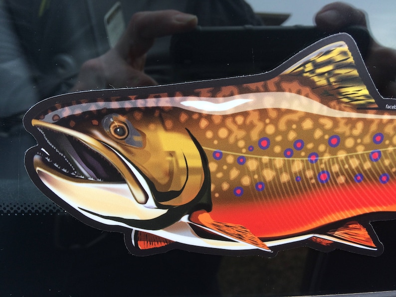 Native Brookies ( Brook Trout ) Diecut Sticker 7.5" X 3.25" UV Coated ...