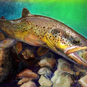 The Wild Brown Trout in Blue Green, Painting Artist Prints - Etsy