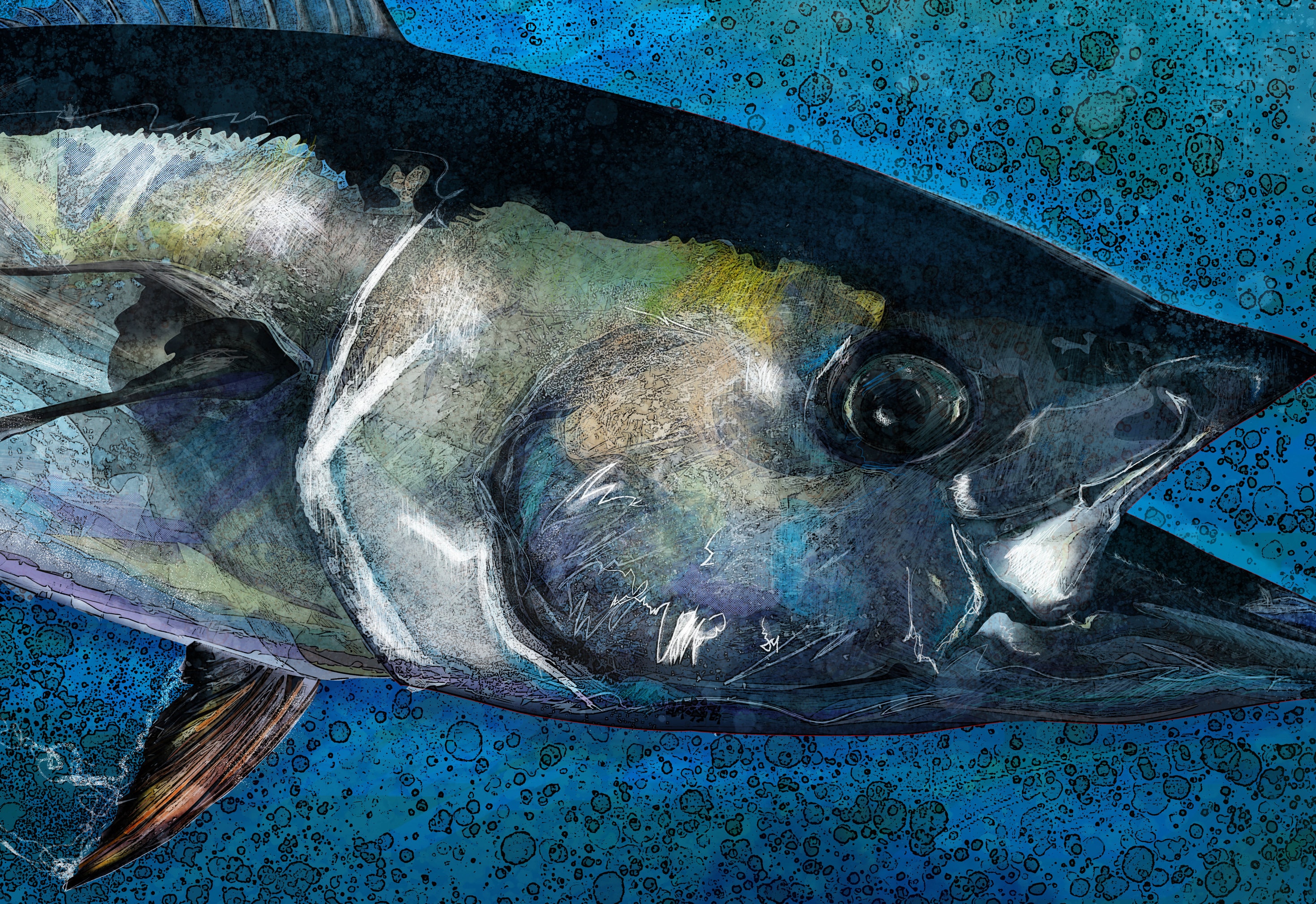 The Bluefin Tuna Painting - Etsy