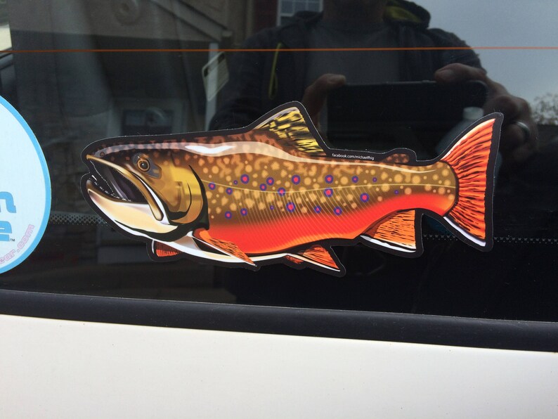 Native Brookies ( Brook Trout ) Diecut Sticker 7.5" X 3.25" UV Coated ...