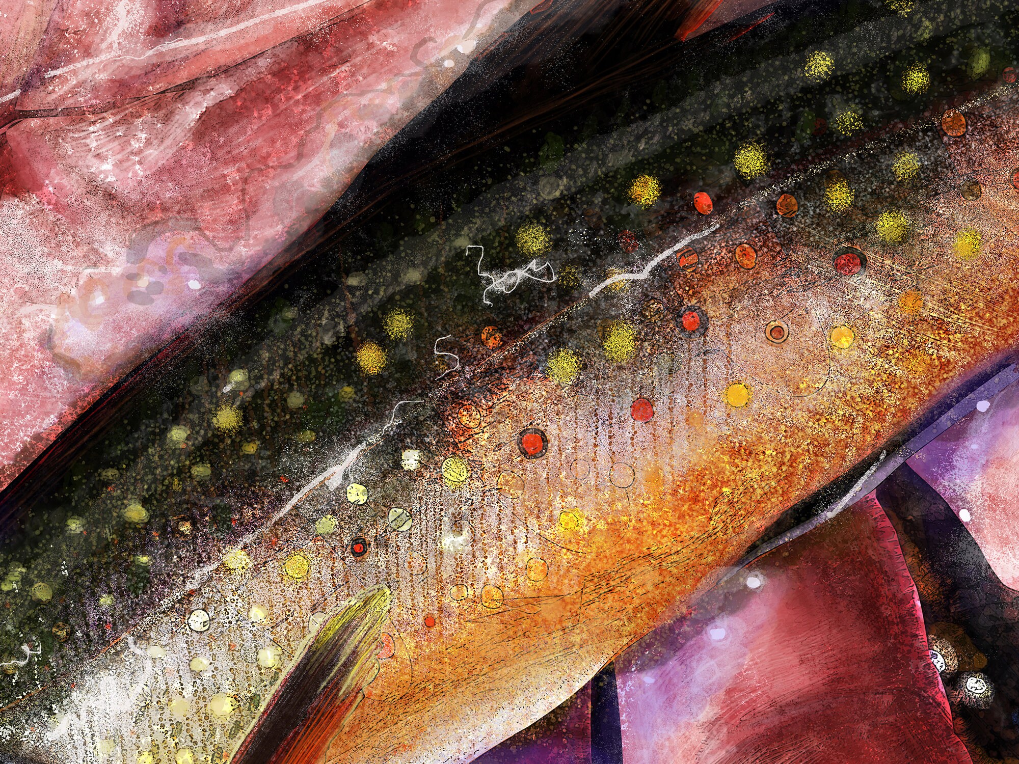 The Brookie in Hand Illustated Art Prints Brook Trout - Etsy