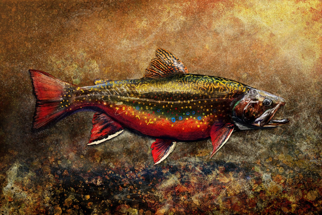 The Spawning Male Brook Trout Painting, Artist Prints - Etsy