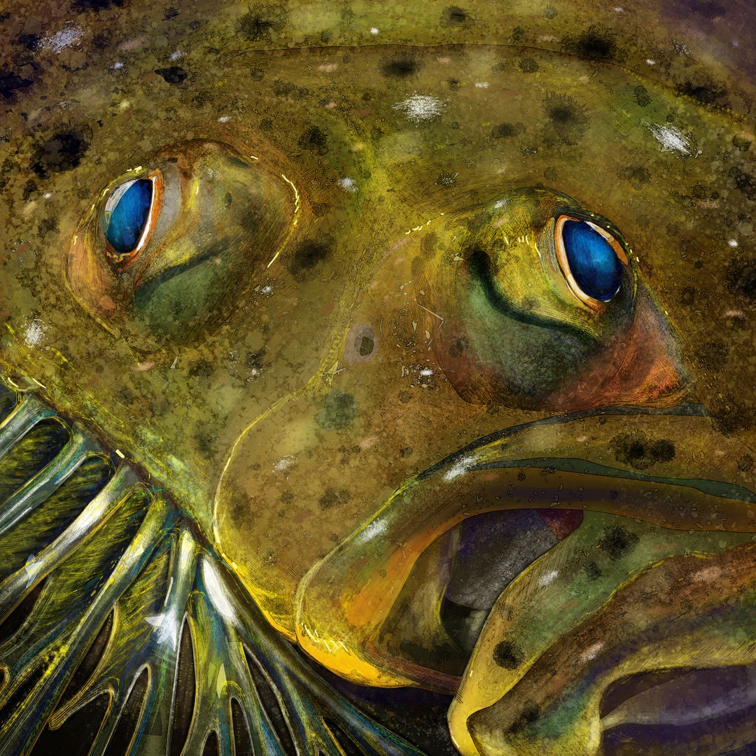 The Summer Flounder Painting Giclee Prints - Etsy