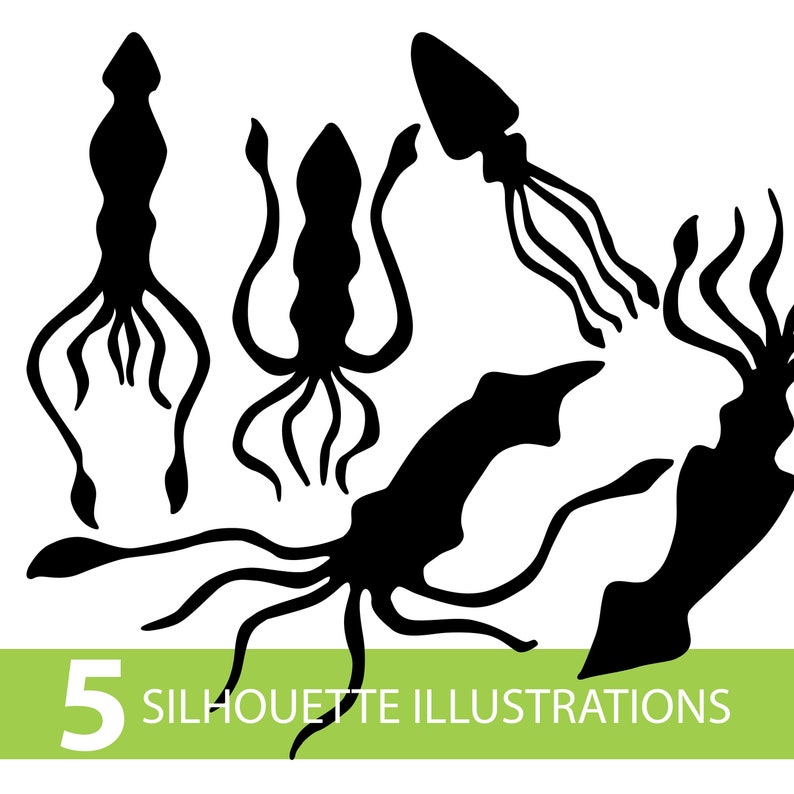 SQUID SILHOUETTE ILLUSTRATIONS, Drawing in Svg Pdf Ai Jpg Png Dxf, Cut ...