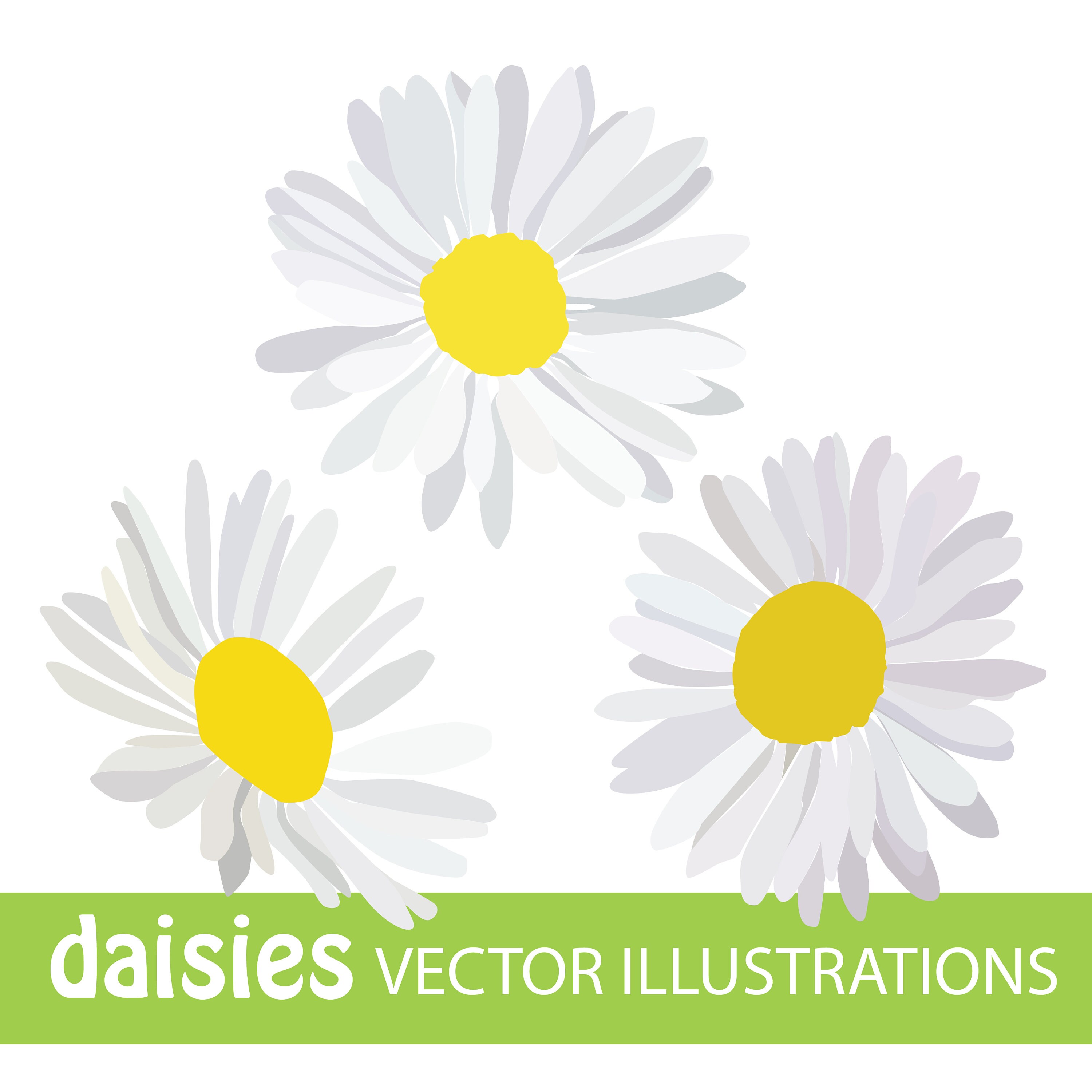 Flower Daisies Clip Art ILLUSTRATION Instant Download Hand - Etsy
