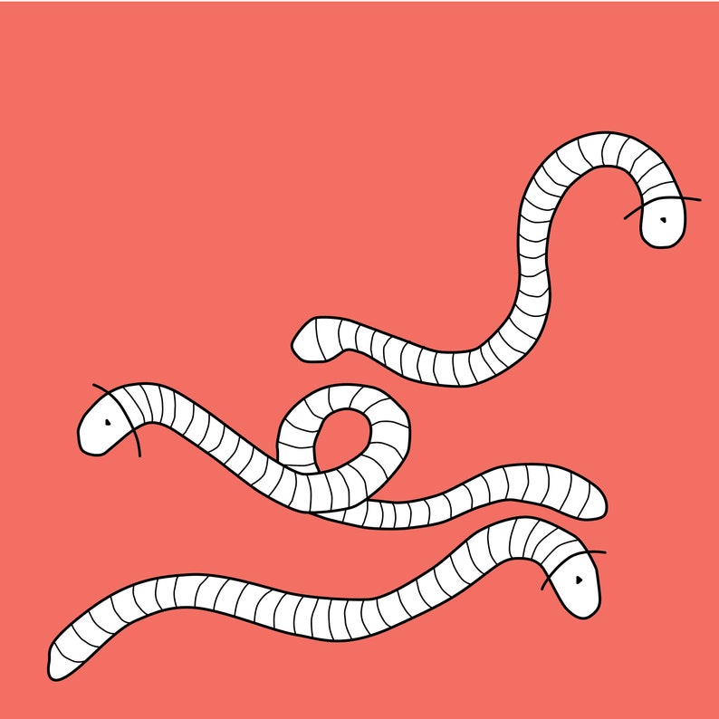 WORMS Clip Art ILLUSTRATION, Instant Download in Svg Pdf Ai Jpg Png Dxf ...
