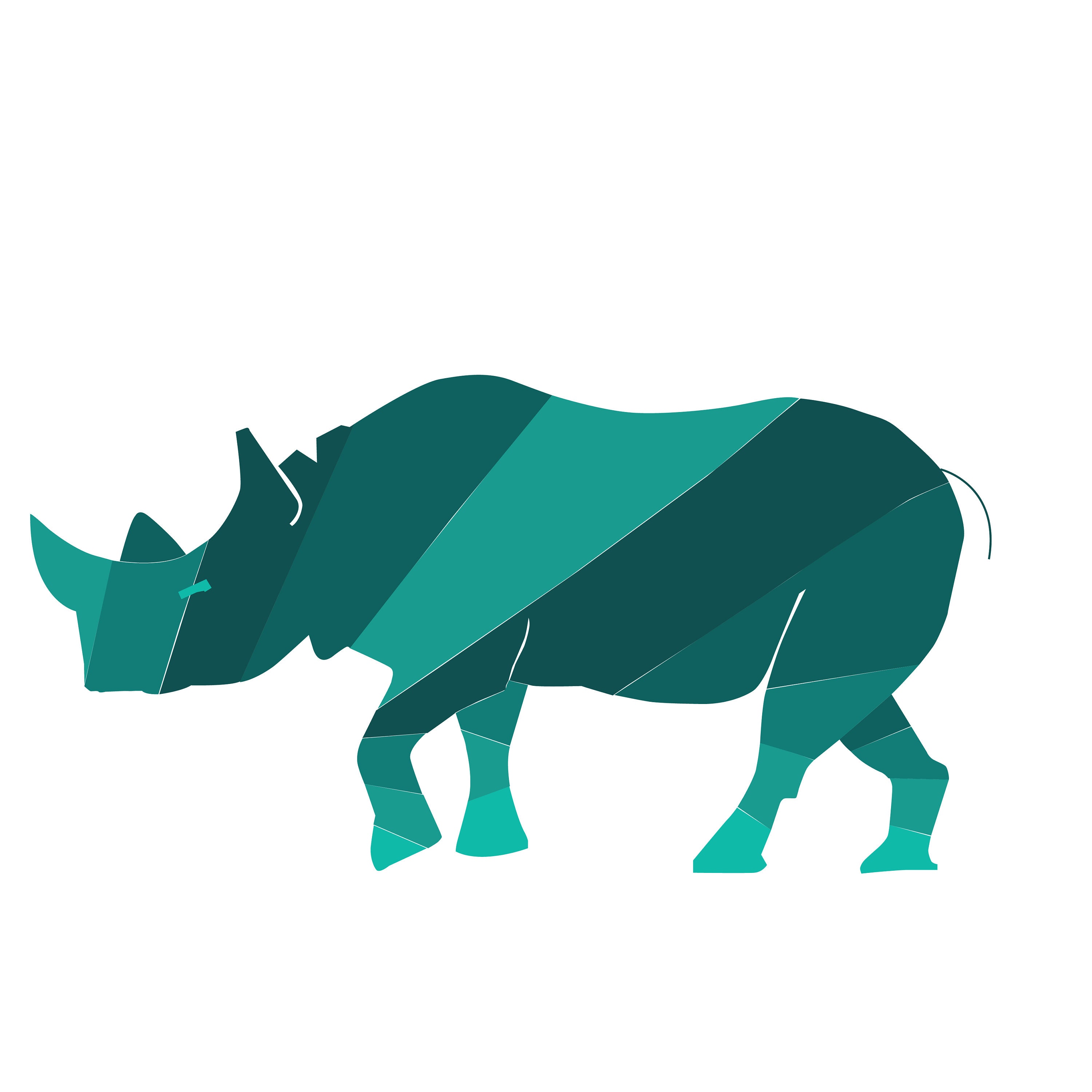 Endangered ANIMALS Clip Art ILLUSTRATION Rhinoceros Elephant | Etsy UK