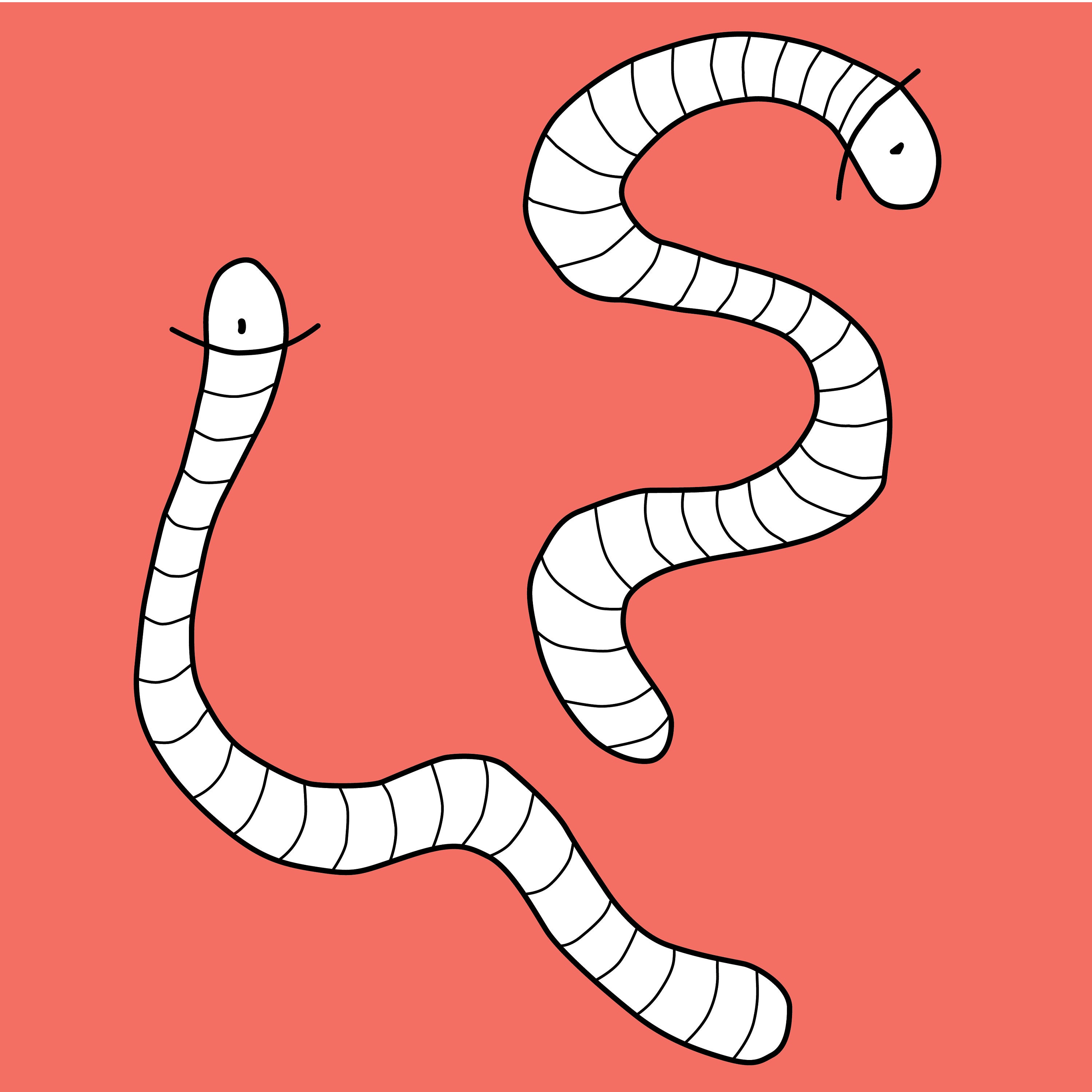 WORMS Clip Art ILLUSTRATION, Instant Download in Svg Pdf Ai Jpg Png Dxf ...