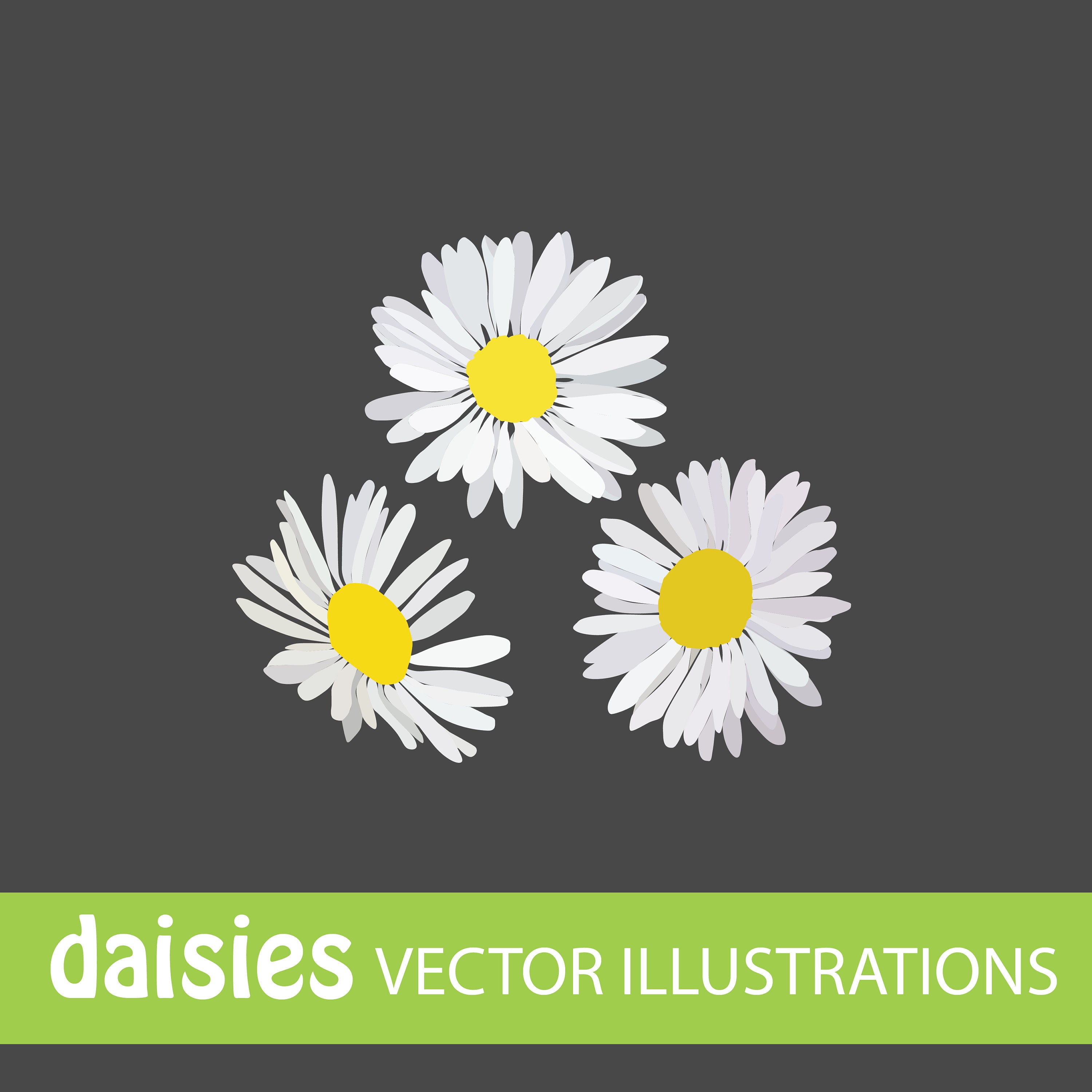 Flower Daisies Clip Art ILLUSTRATION Instant Download Hand - Etsy