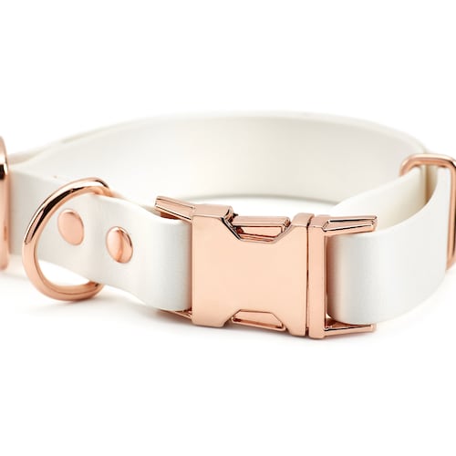 Biothane Collar White Matching Leads Available Metal | Etsy UK