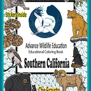 Southern California Educational Coloring Book - Etsy