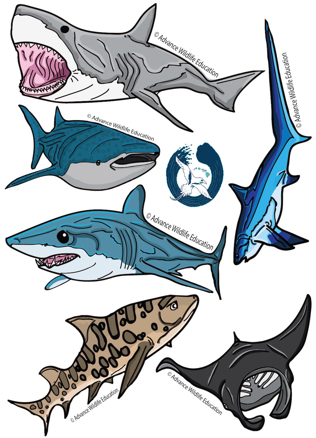 Sharks Sticker Sheet high Quality UV - Etsy