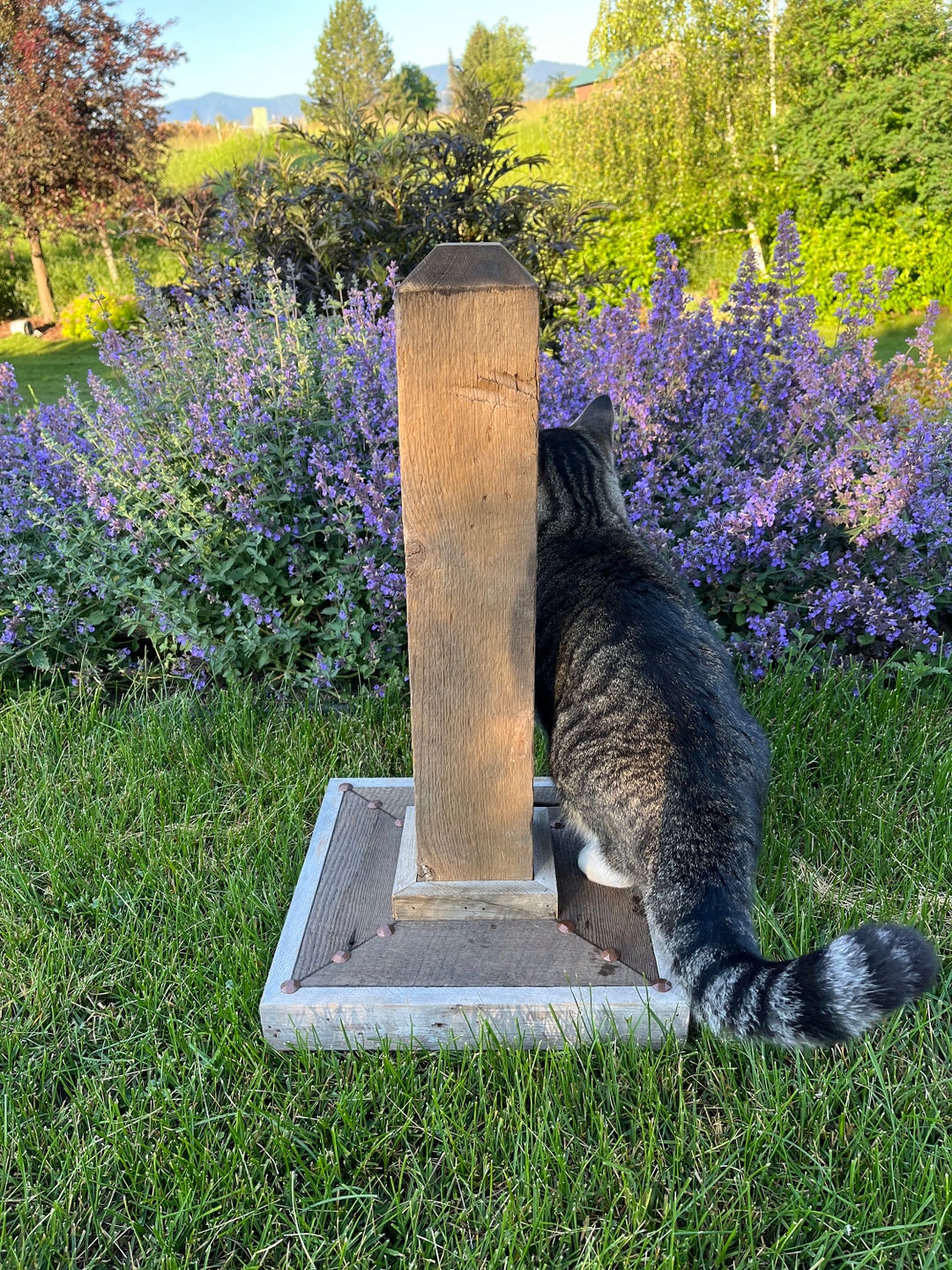 Natural Barnwood Cat Scratching Post Eco-friendly Cat - Etsy