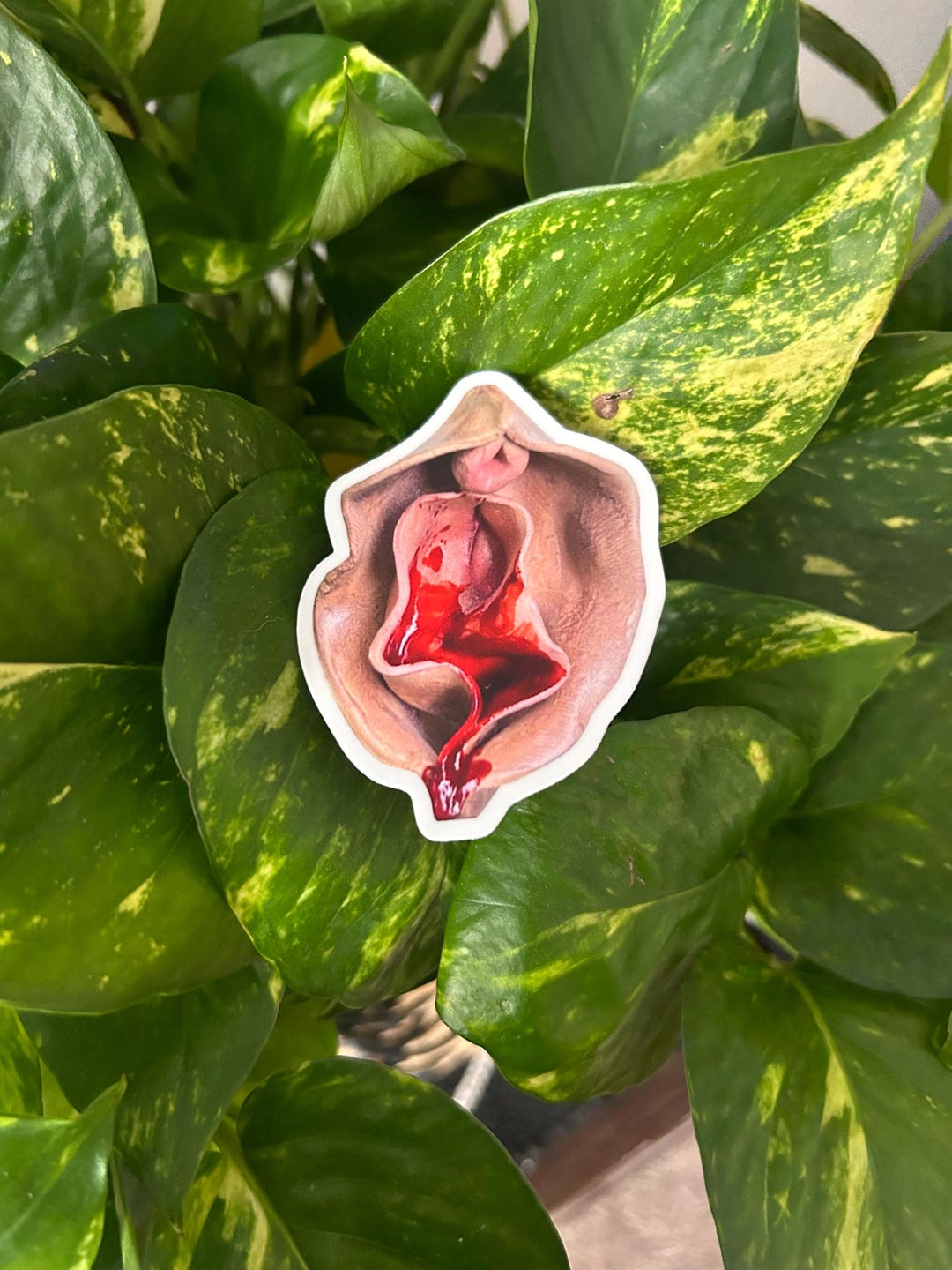 Yoni Moon Cycle Sticker - Etsy